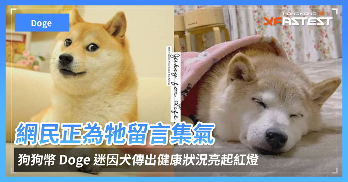 DOGE - XFastest Hong Kong